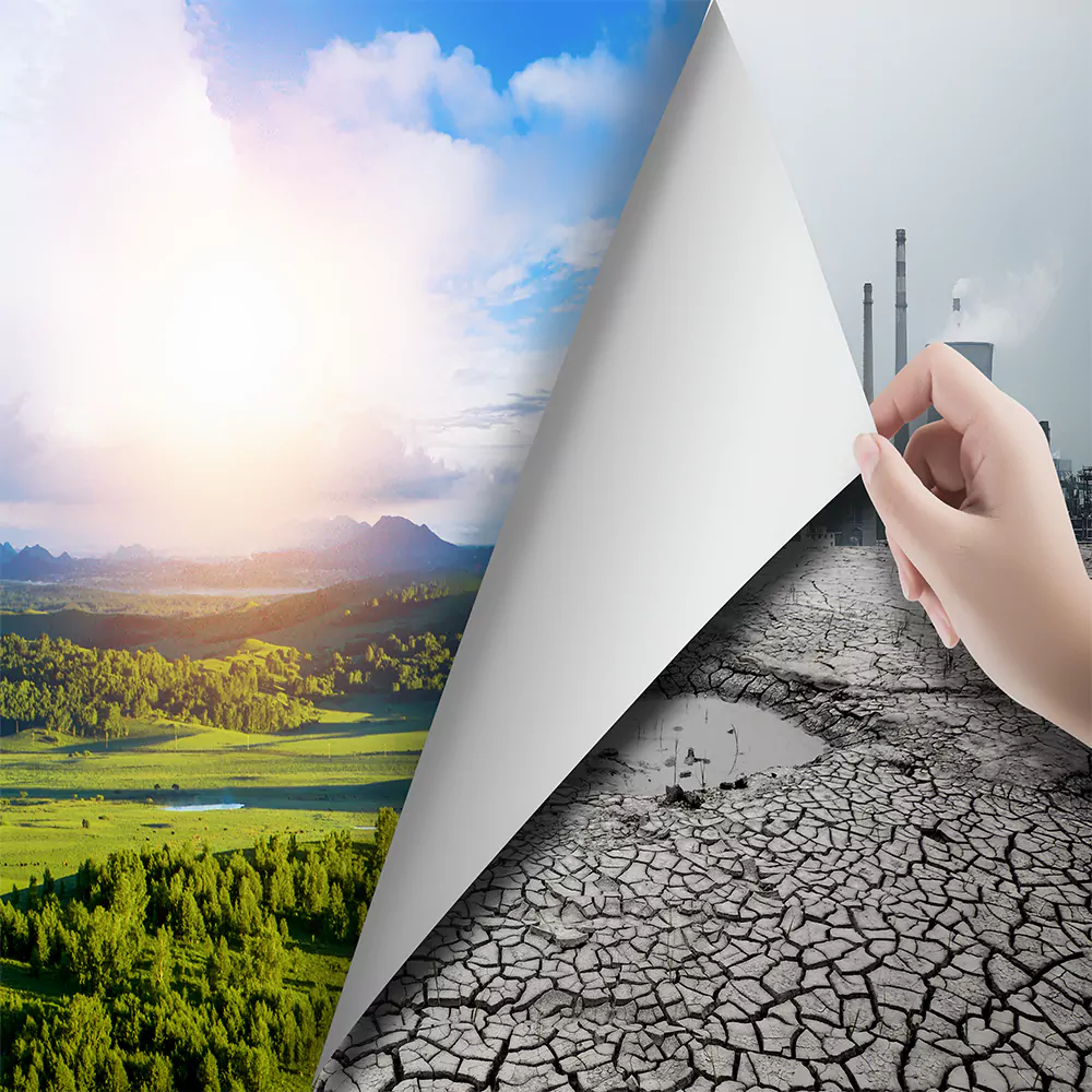 Corporate Culture leader cable - LEADER CABLE